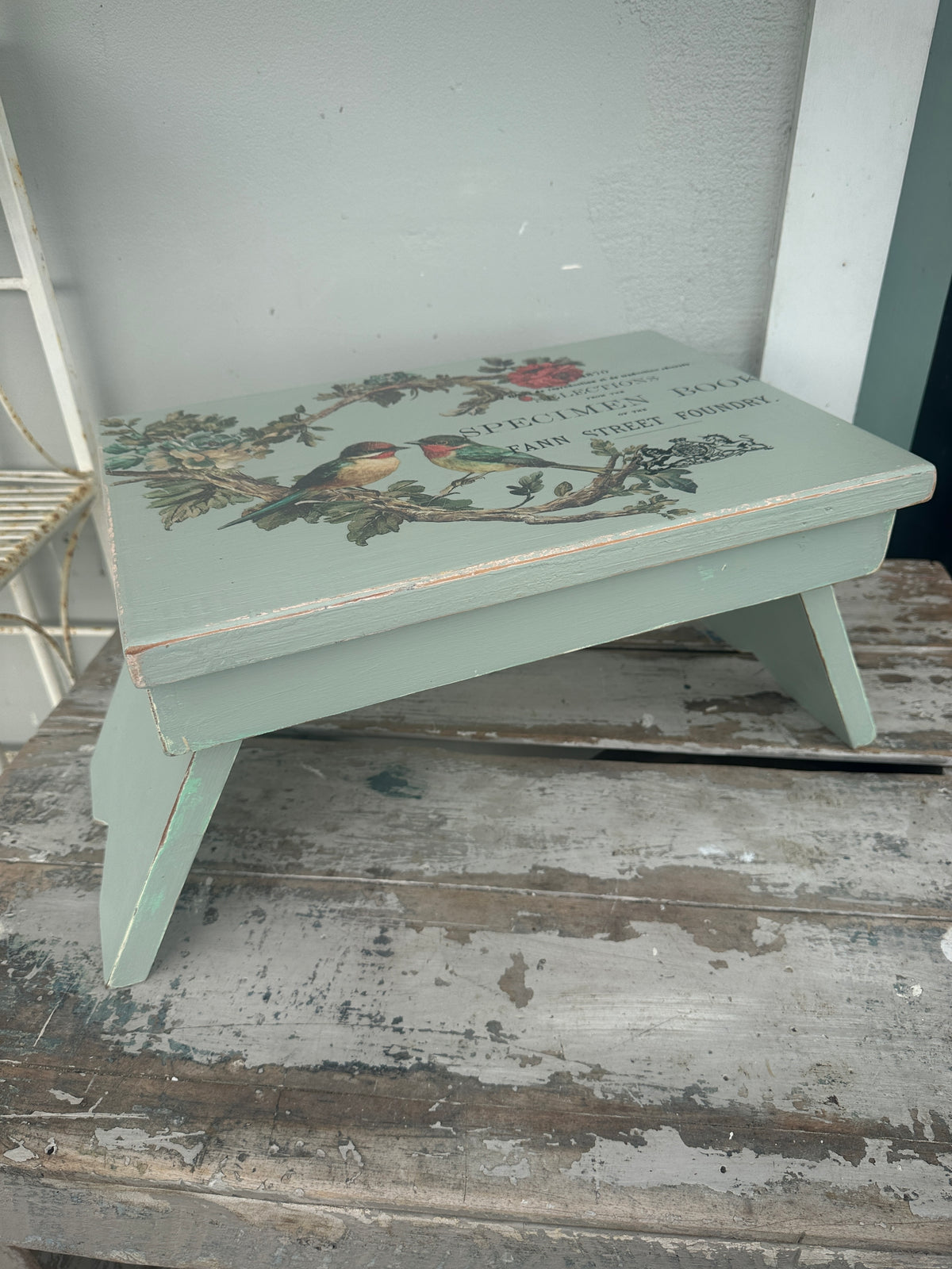 Duck Egg wood riser folding stool with REDESIGN WITH PRIMA birds ...