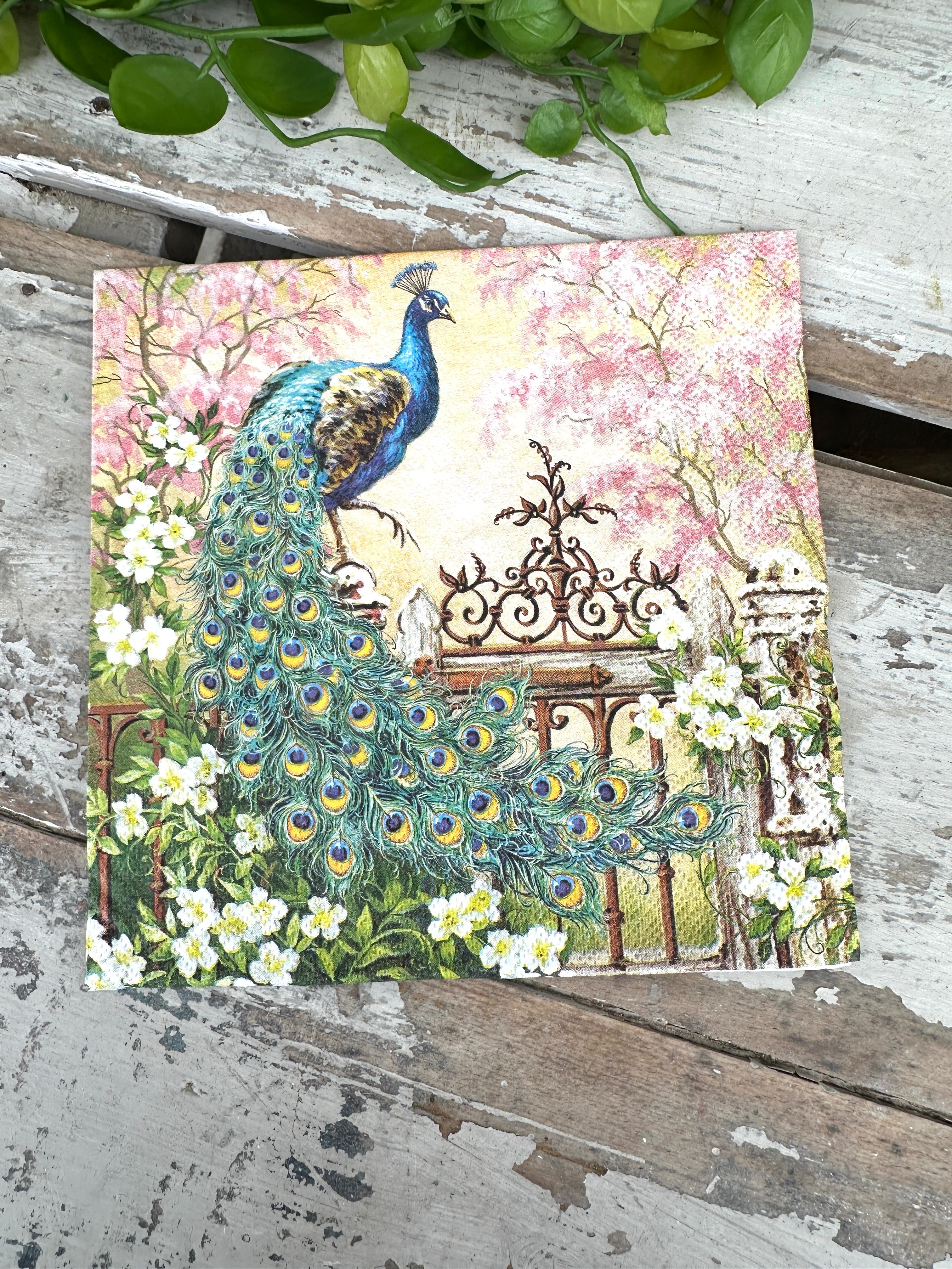 Noble Peacock Napkin for Decoupage | Paint Me Vintage