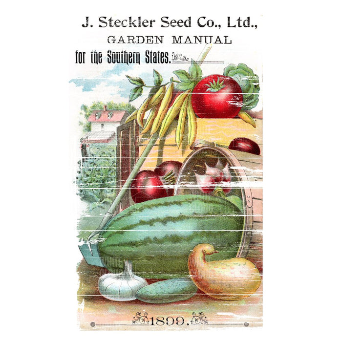 J Steckler Seed Co White Cloud Transfer| Paint Me Vintage