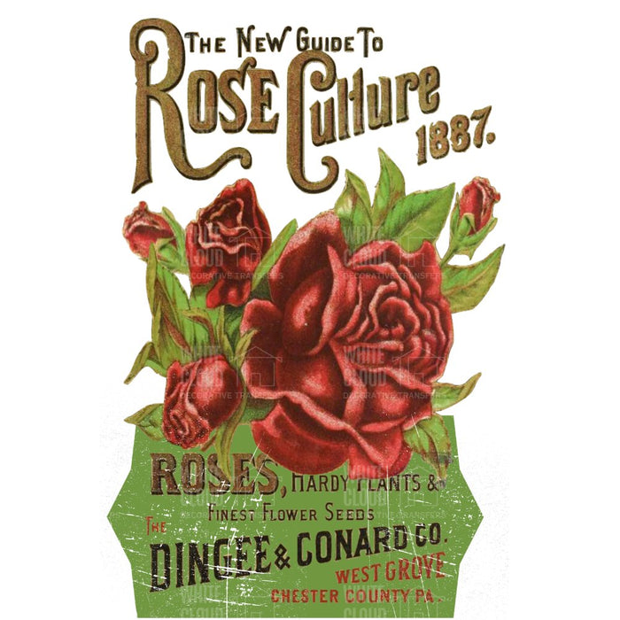 Rose Culture White Cloud Transfer | Paint Me Vintage